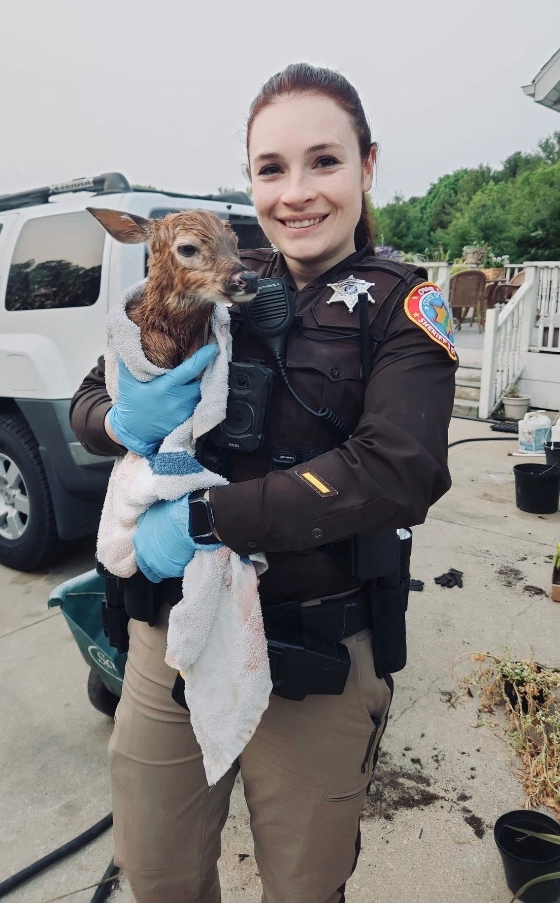One life ends, another begins: Door County deputy rescues newborn fawn ...