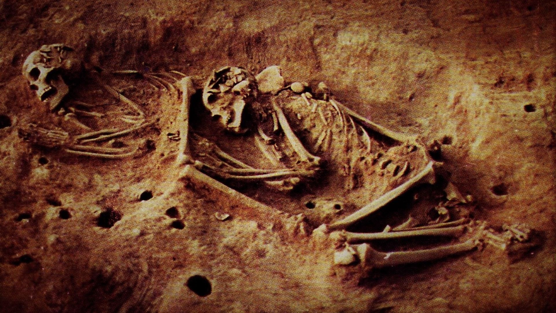 Ancient DNA reveals mysterious Indigenous group from Colombia that ...