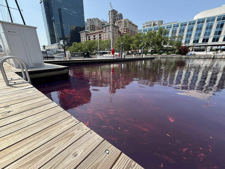 MDE, Coast Guard responding to approximately 2,000-gallon oil spill