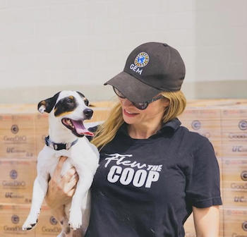 Free pet ID tag program helps pet owners prepare for hurricane season