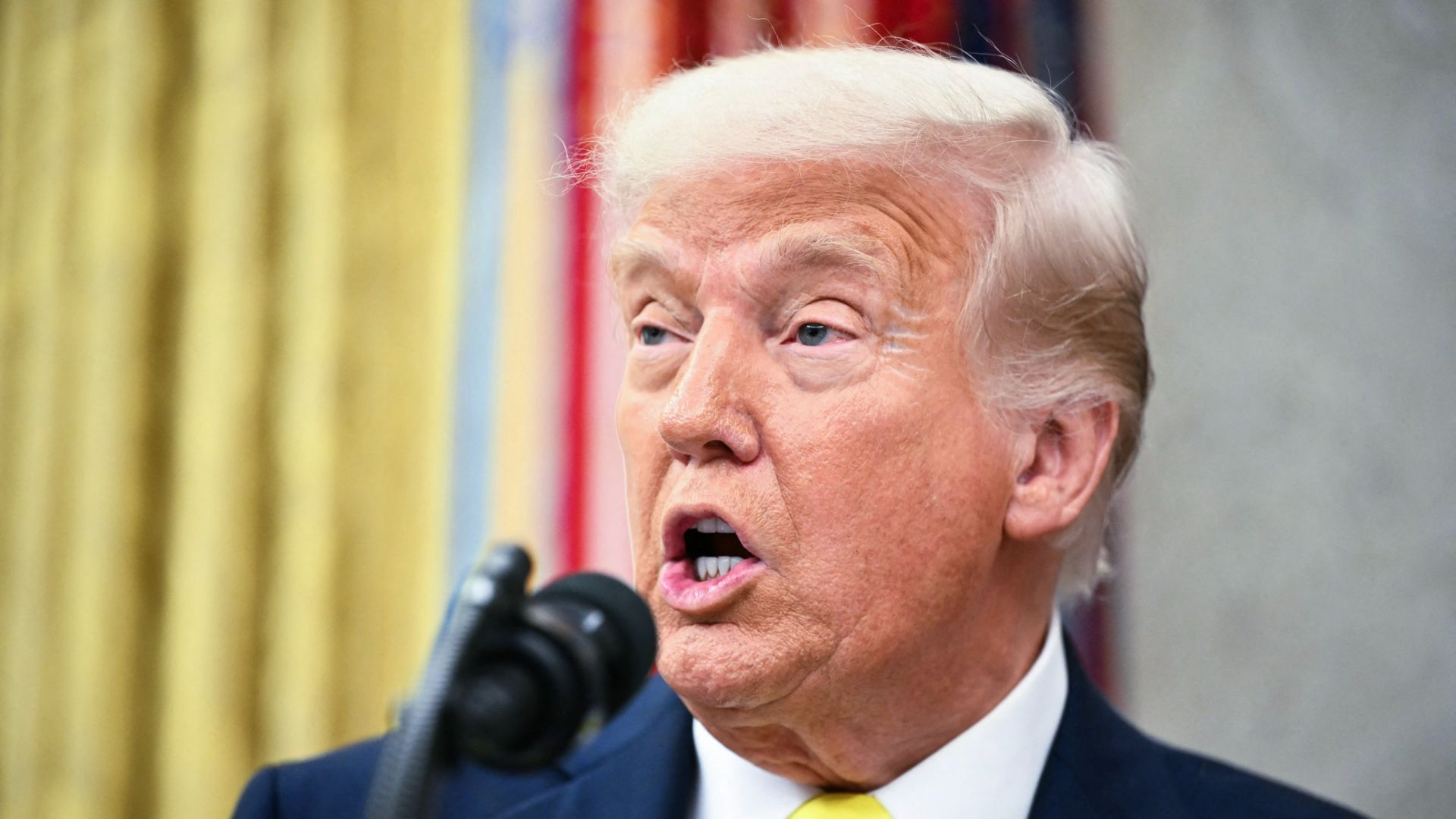 Why did Trump roll out the red carpet for El Chapo’s family?