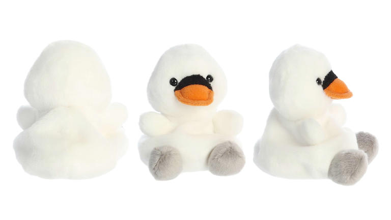 'Joy,' a plush baby swan, will launch with Axiom Mission-4 crew as zero ...