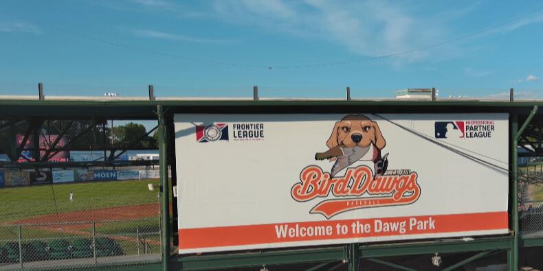 WITN to air 12 Bird Dawgs games this summer