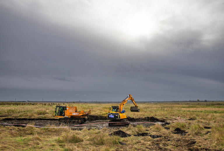 National Trust’s largest lowland peat restoration a ‘powerful step forward’