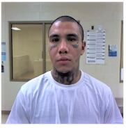 ICE arrests gang member in Reno