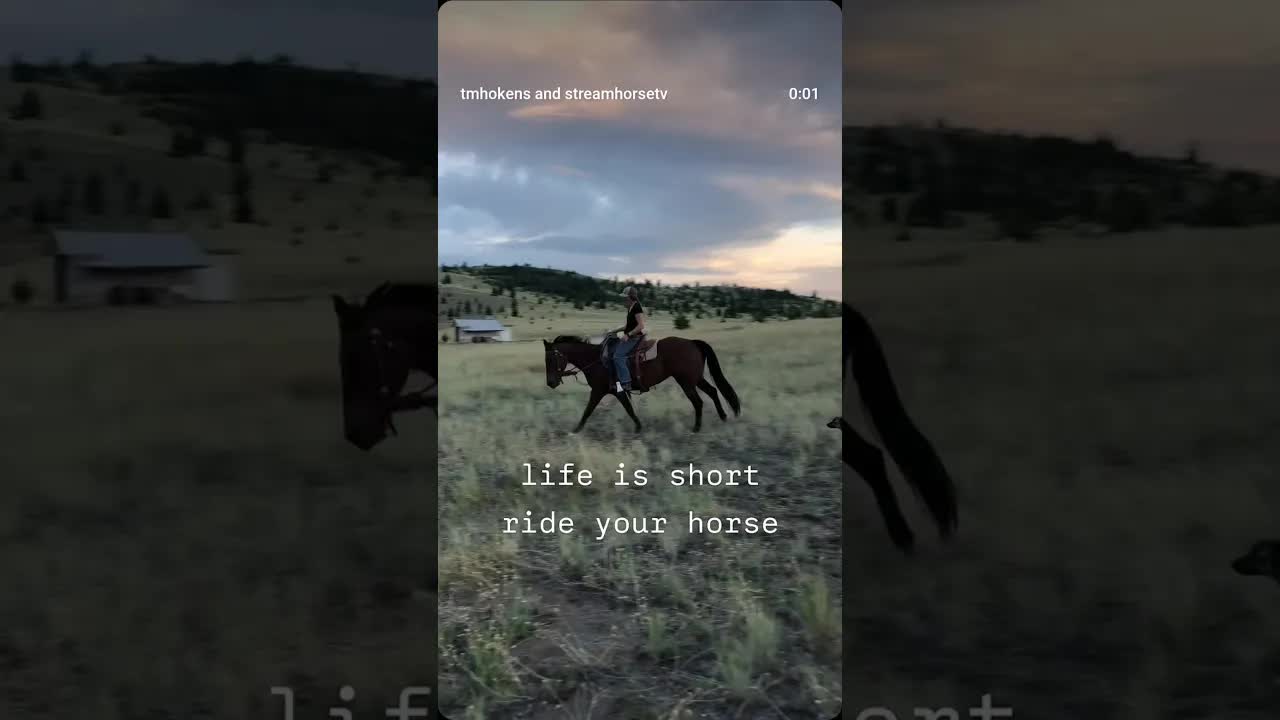 streamhorse: cowgirl passion: sunset horseback riding