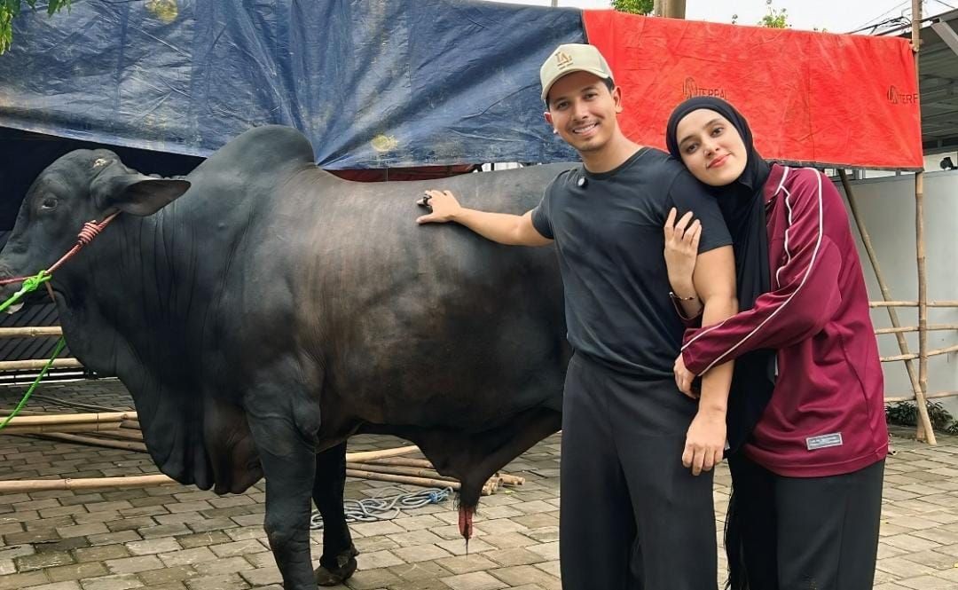 Kronologi Fairuz A Rafiq Diinjak Sapi Kurban Hadiah dari Raffi Ahmad, Begini Kondisi Istri Sonny ...