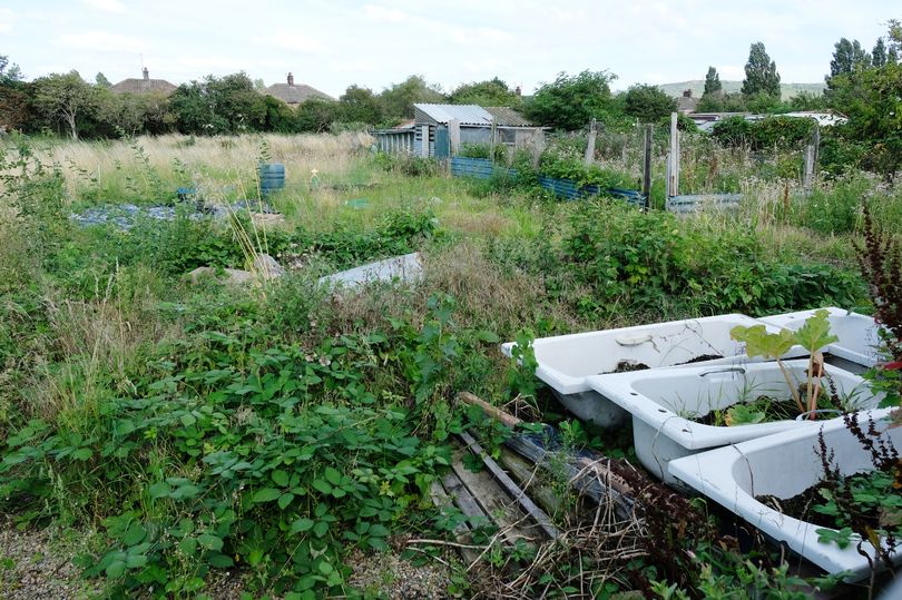'Ongoing challenges' as council grapples with allotment-based arson ...
