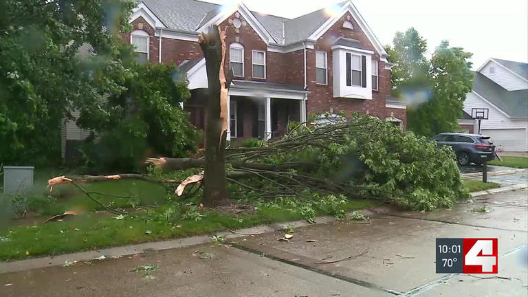 Trees down, thousands without power after Wednesday afternoon storms