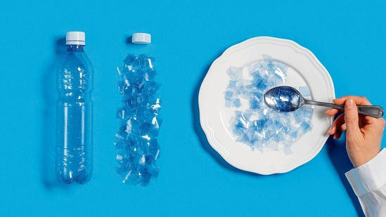 From plate to gut: The silent threat of microplastics