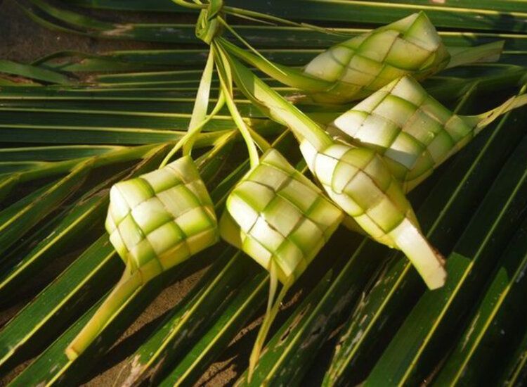 Daun Kelapa Alias Janur, Punya 7 Manfaat Ini Selain Dipakai untuk ...