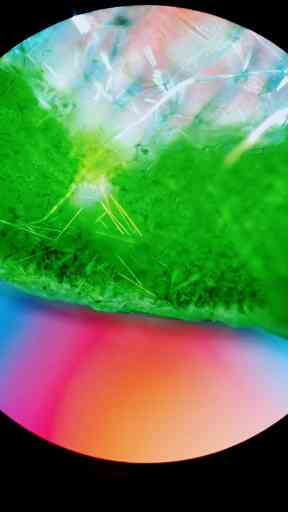 Exploring Aloe Vera Under a Microscope