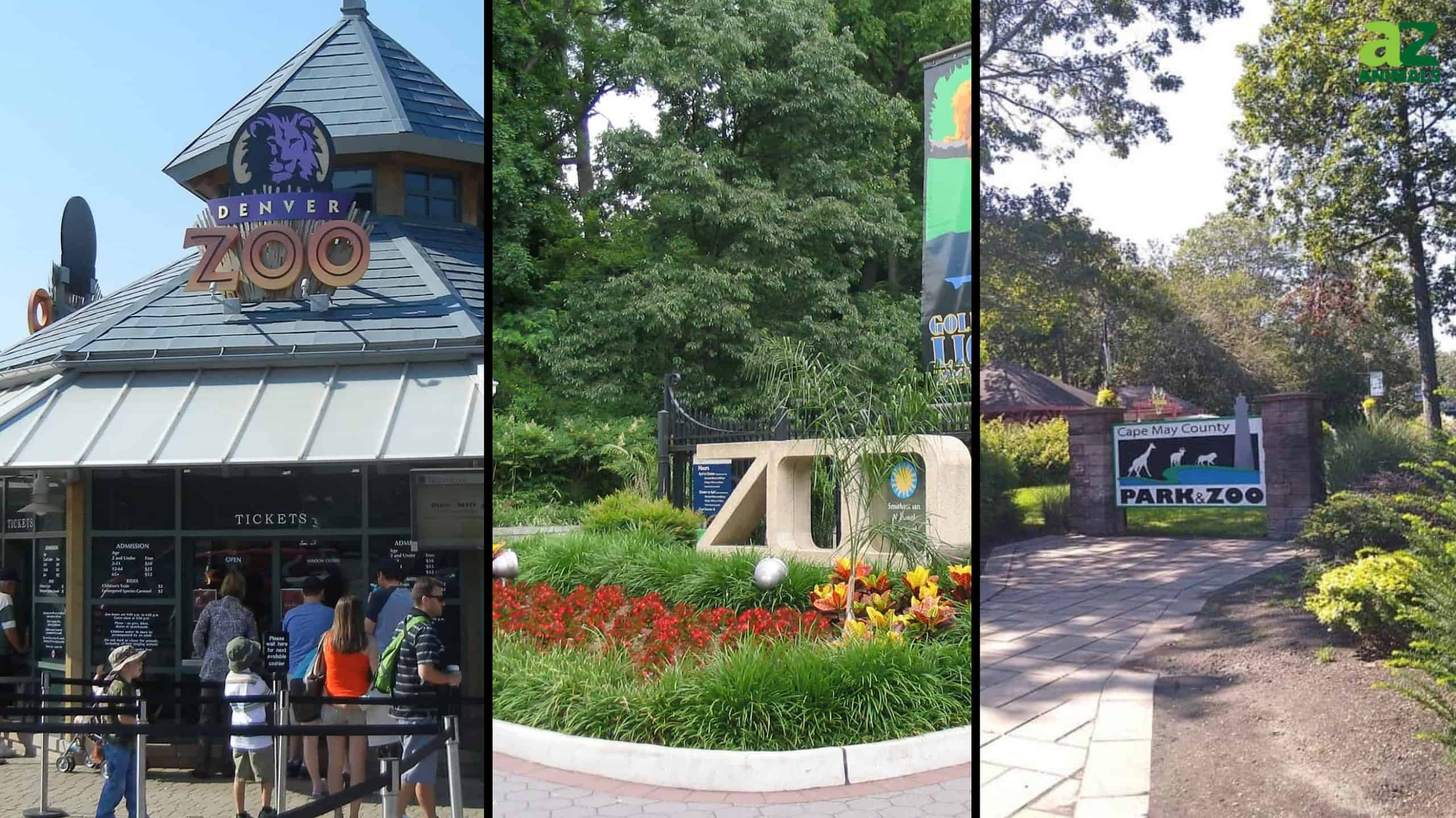 The 5 Biggest and Best Zoos in the United States