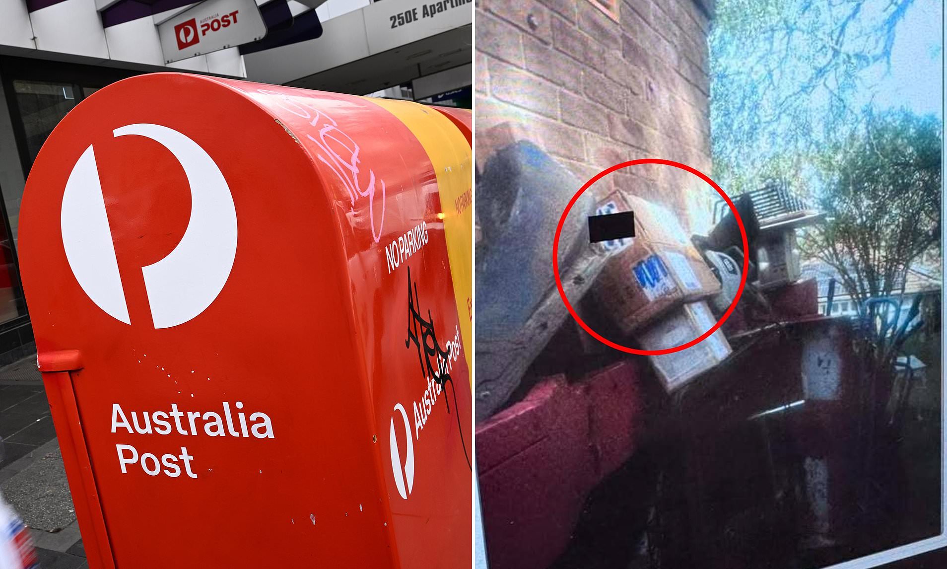 Spot the package! Aussie bloke baffled after his parcel was 'delivered ...
