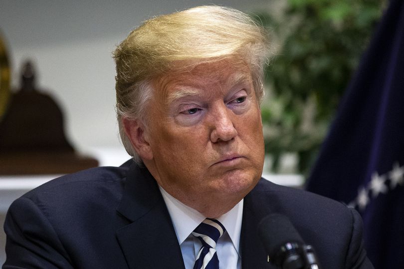 CNN anchor issues devastating blow to Donald Trump - 'What are we doing ...