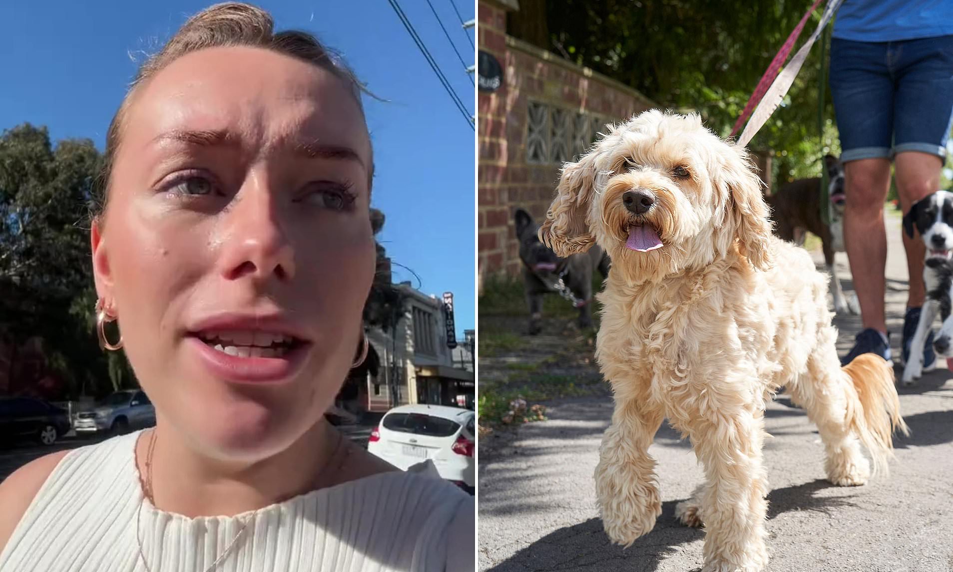 Aussie woman reveals man's gross response after innocently patting his ...