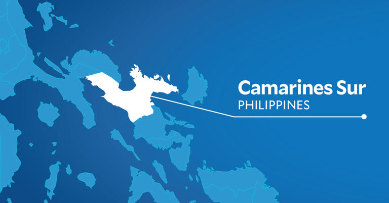 Suspected NPA rebel killed in Camarines Sur clash