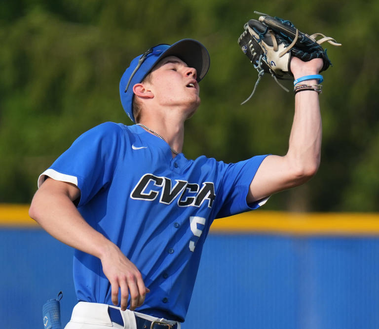 Ohio high school baseball: Akron-area teams Walsh, CVCA win OHSAA ...