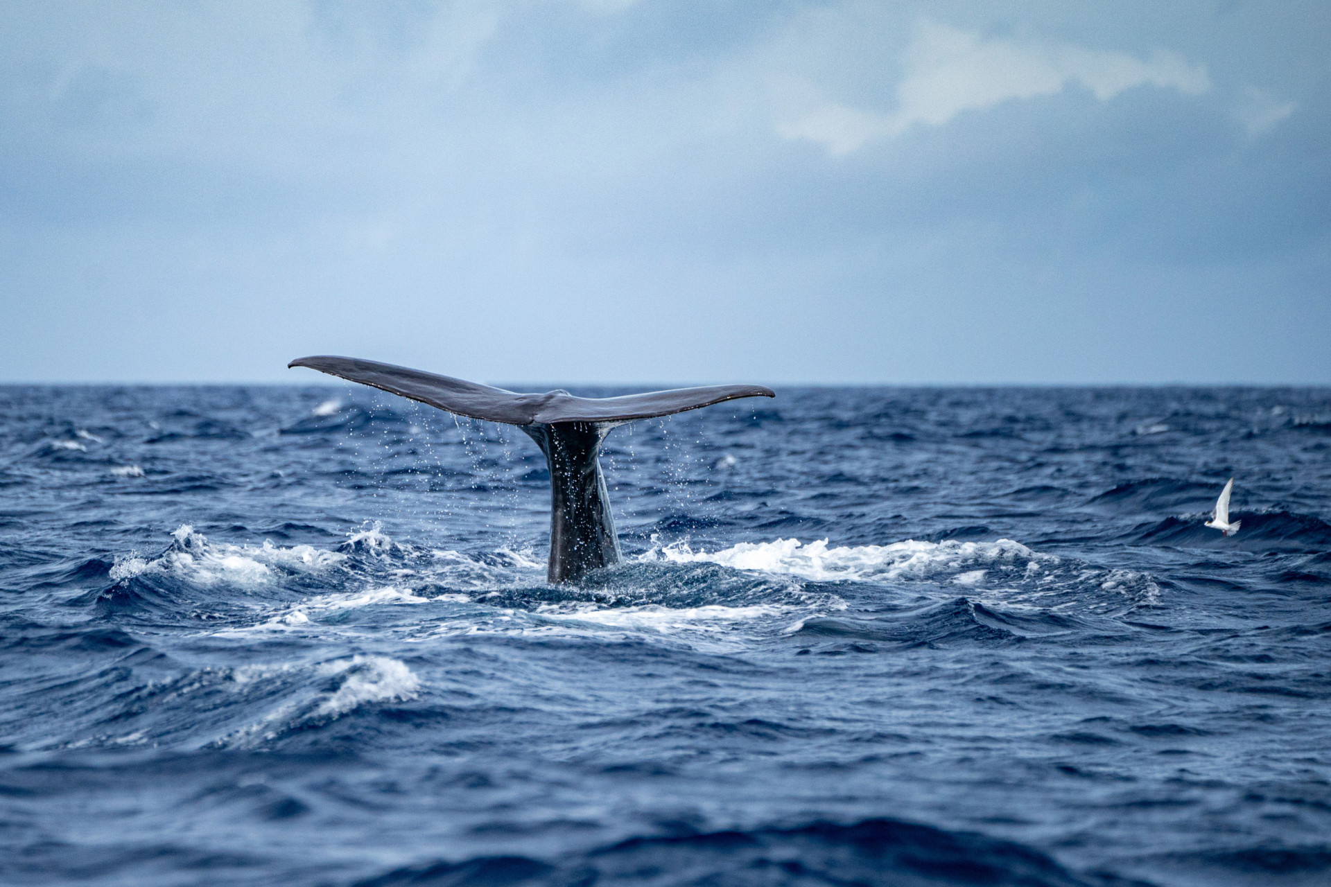 Facts about the environment that might surprise you