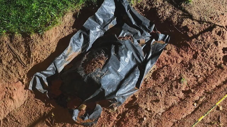 Possible burial site discovered during trail construction at Decatur’s ...