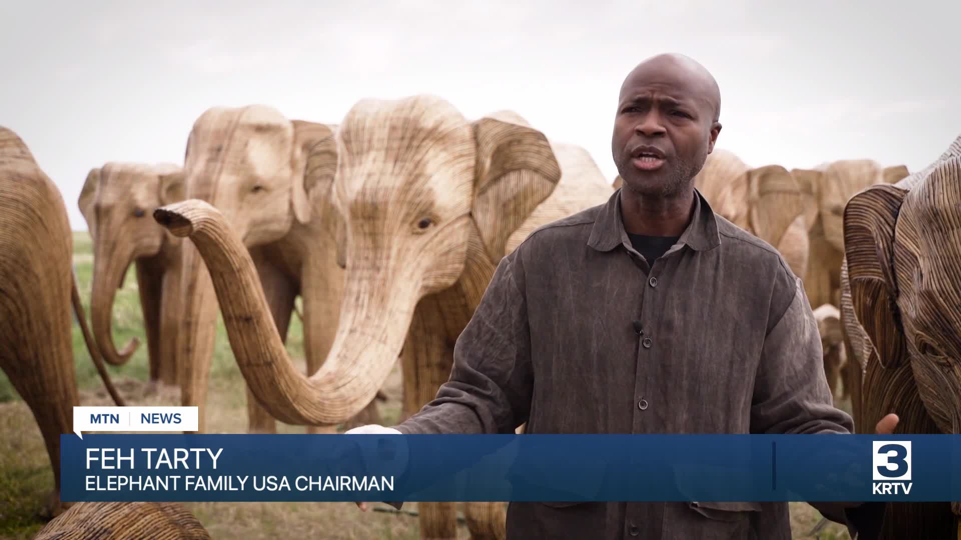 Elephant Migration sculptures spark conversations during Blackfeet ...