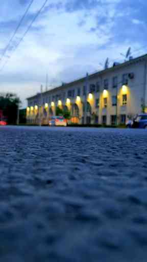 Exploring City Life Through Dynamic Urban Scenes