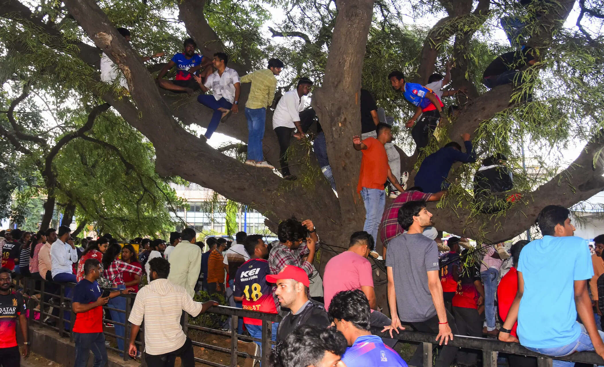 Bengaluru stampede: 'Sad day for cricket' - Cricket world mourns ...