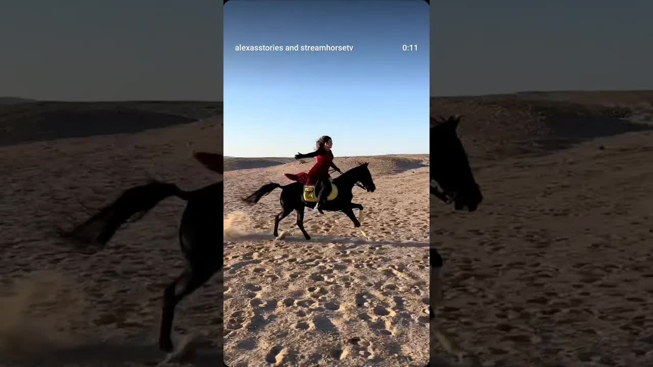 streamhorse: lady in red gallops through desert on beautiful black horse