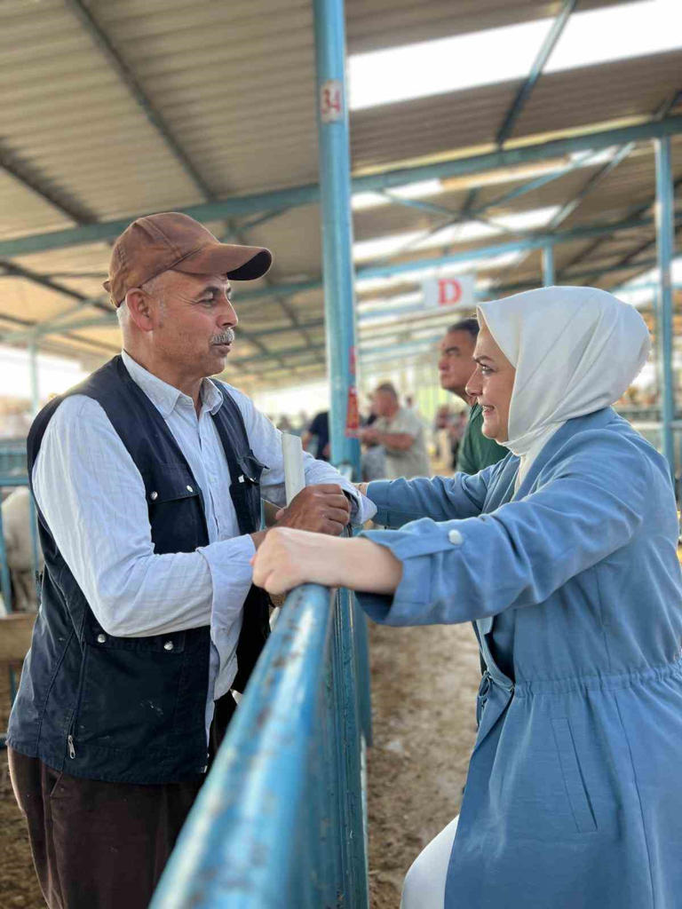 Milletvekili Sema Silkin Ün kurban pazarında yetiştiricileri dinledi