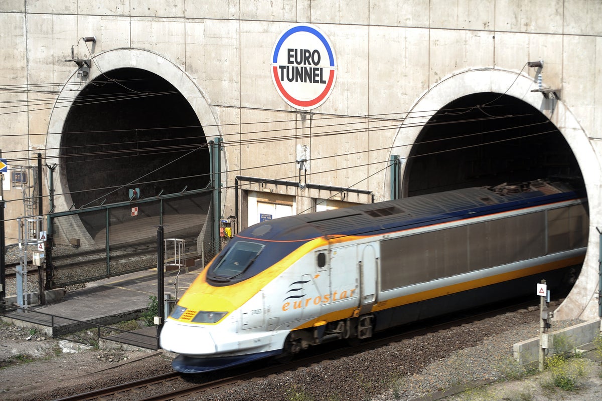 Channel Tunnel train services set to be increased as owners eye new routes