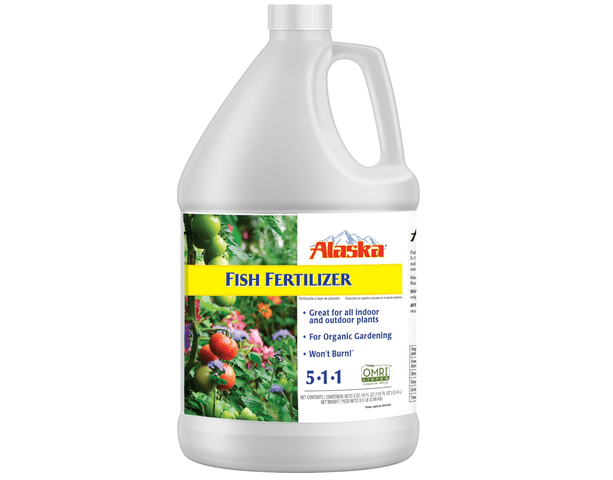 The one product tomato experts say you need for bigger, healthier ...