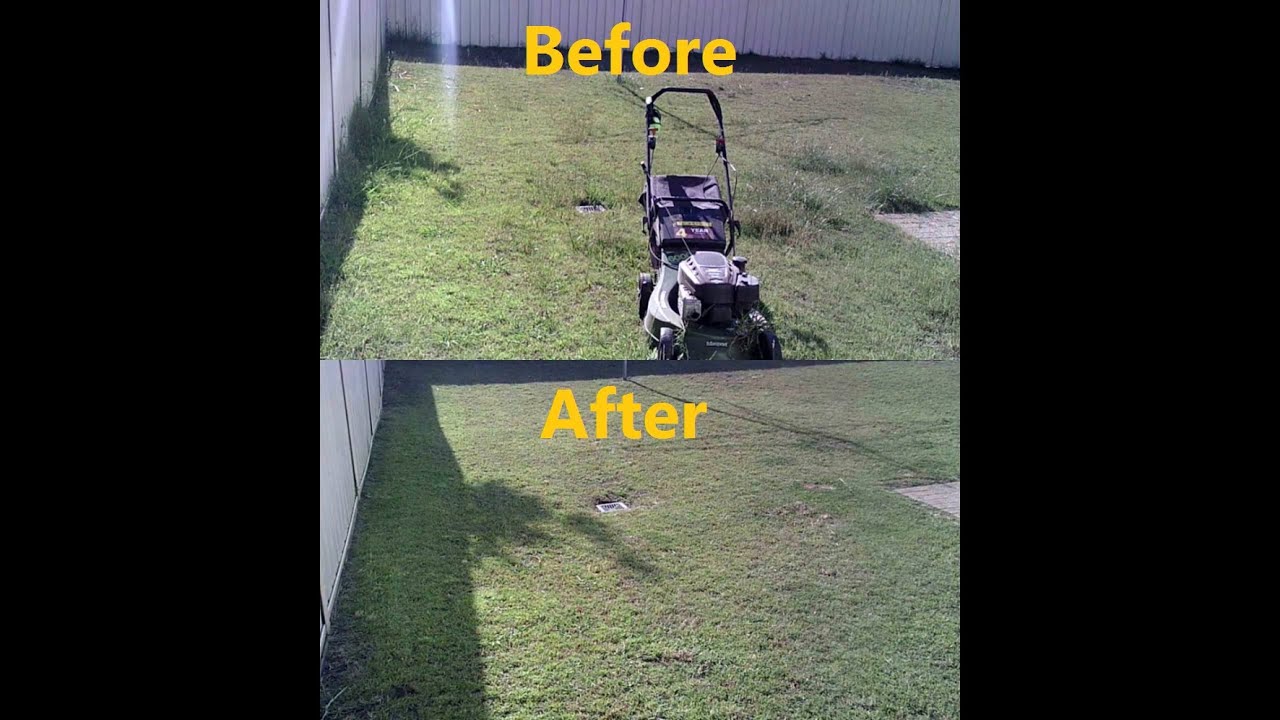 Fast and Clean - The Most Satisfying Yard Cleanup Yet