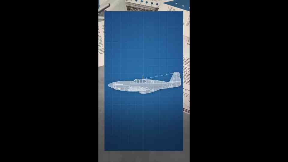 The Chonkiest WW2 Fighter Plane