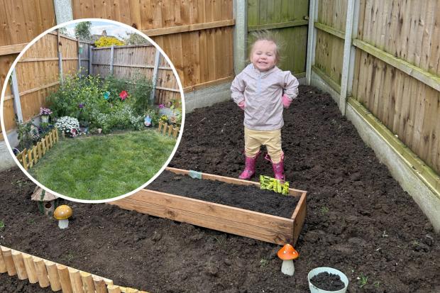 Meet gardener Edie, 2, who has created her own garden filled with fruit ...