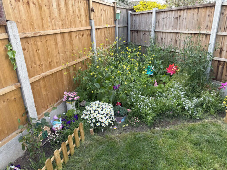 Pint-sized gardener builds ‘fairy garden’ to grow fruit and veg for her ...
