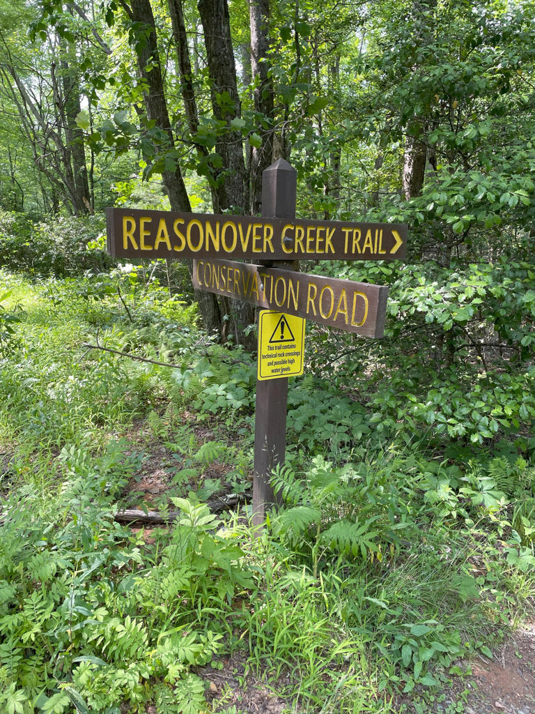 Popular DuPont Forest Reasonover Creek Trail to undergo repairs ...