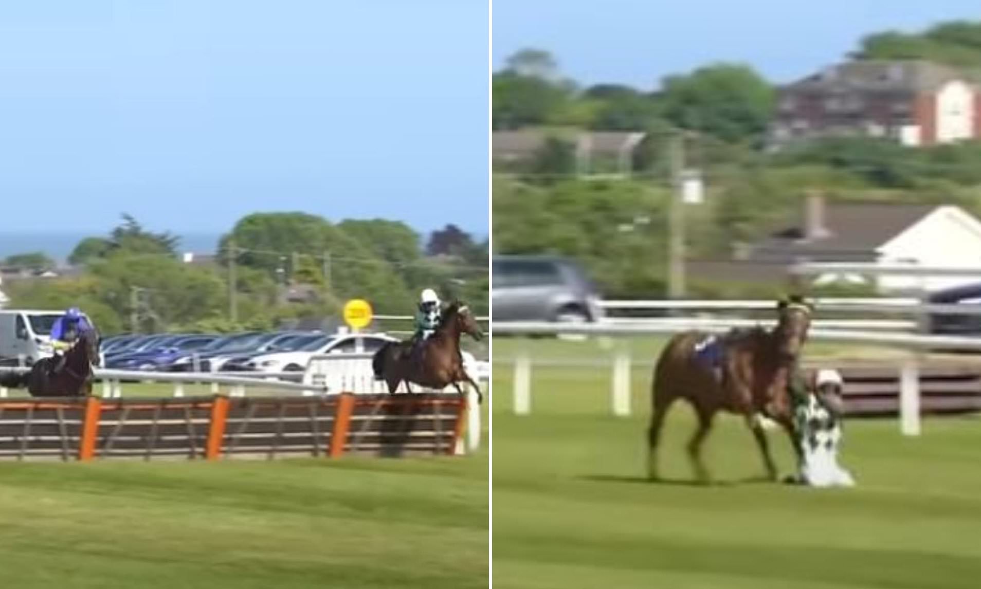 Redwood Queen chaos at Wexford only creates suspicion and distrust in ...