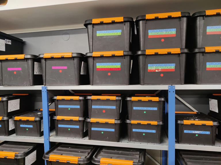 Jio’s man in Estonia is bringing a basement revolution—for young girls ...