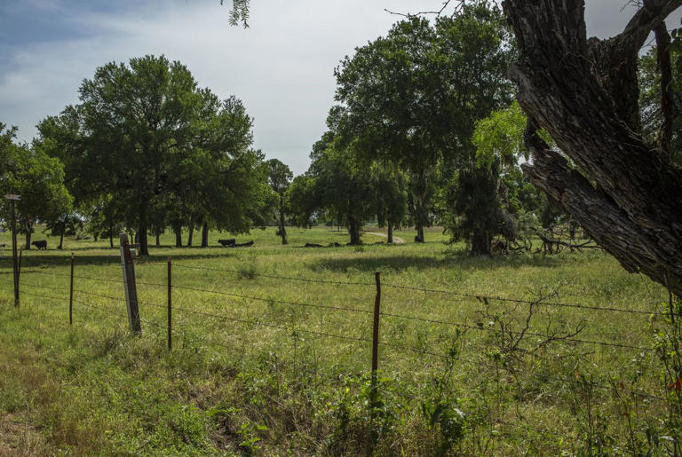 Data centers are building their own gas power plants in Texas