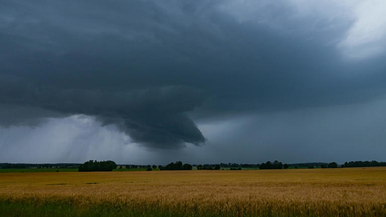 Unwetter in Berlin und Brandenburg: Auch heute Starkregen und Gewitter
