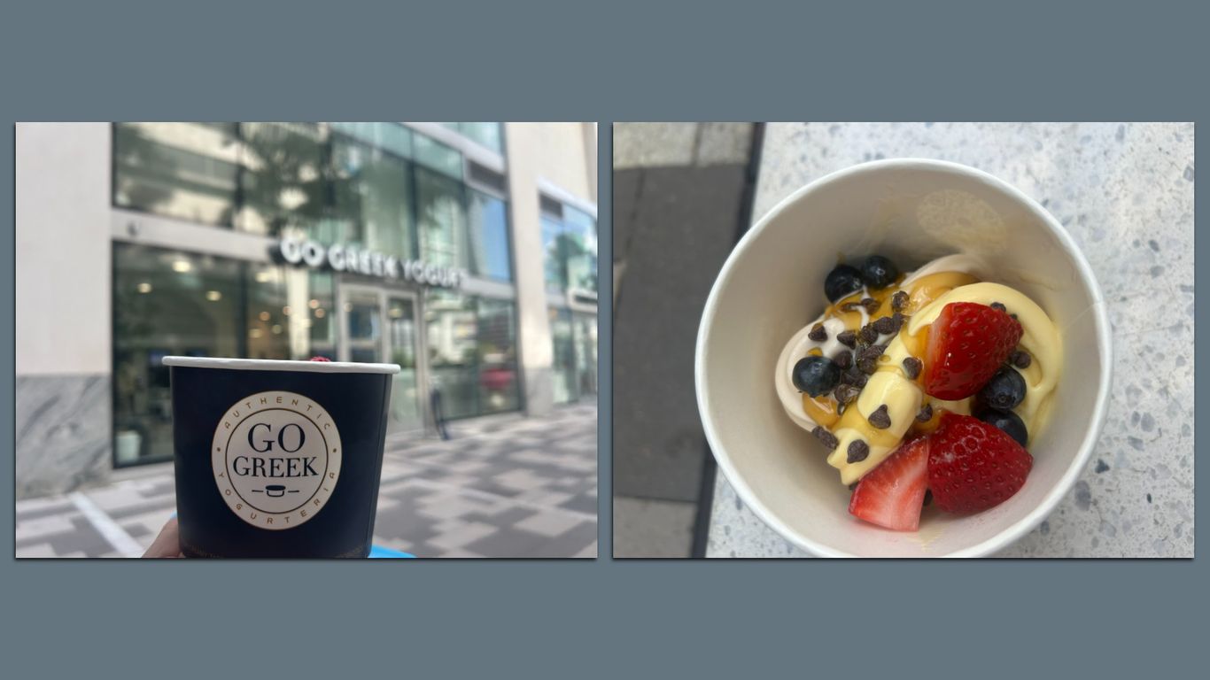 Go Greek Yogurt is a new twist on classic froyo