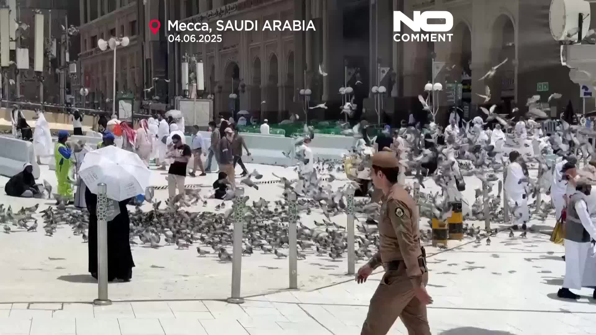 Peregrinos iniciam Hajj em Meca sob calor e novas restrições