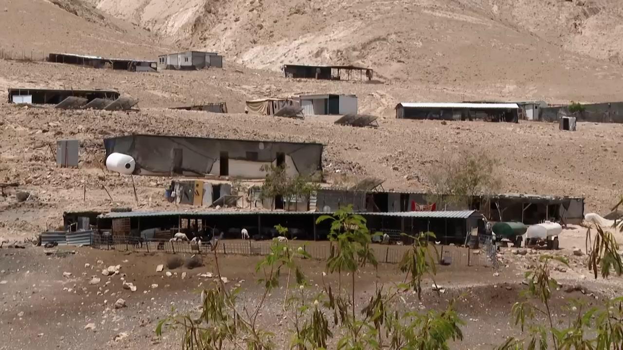 Livestock prices in West Bank rise, hindering purchases of sacrificial ...