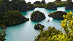 Save Raja Ampat: Surga Terakhir Dunia yang Kini Terancam Hancur oleh ...