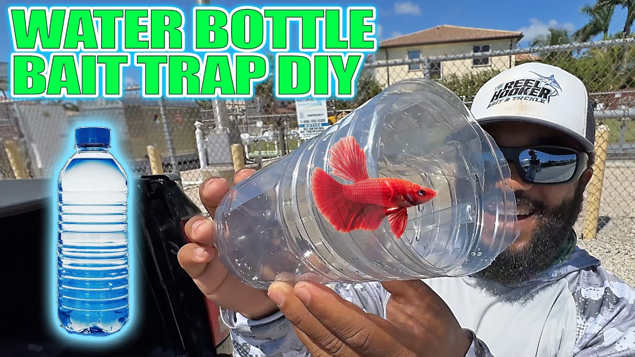 Make a Fish Trap With a Water Bottle—Simple DIY That Works