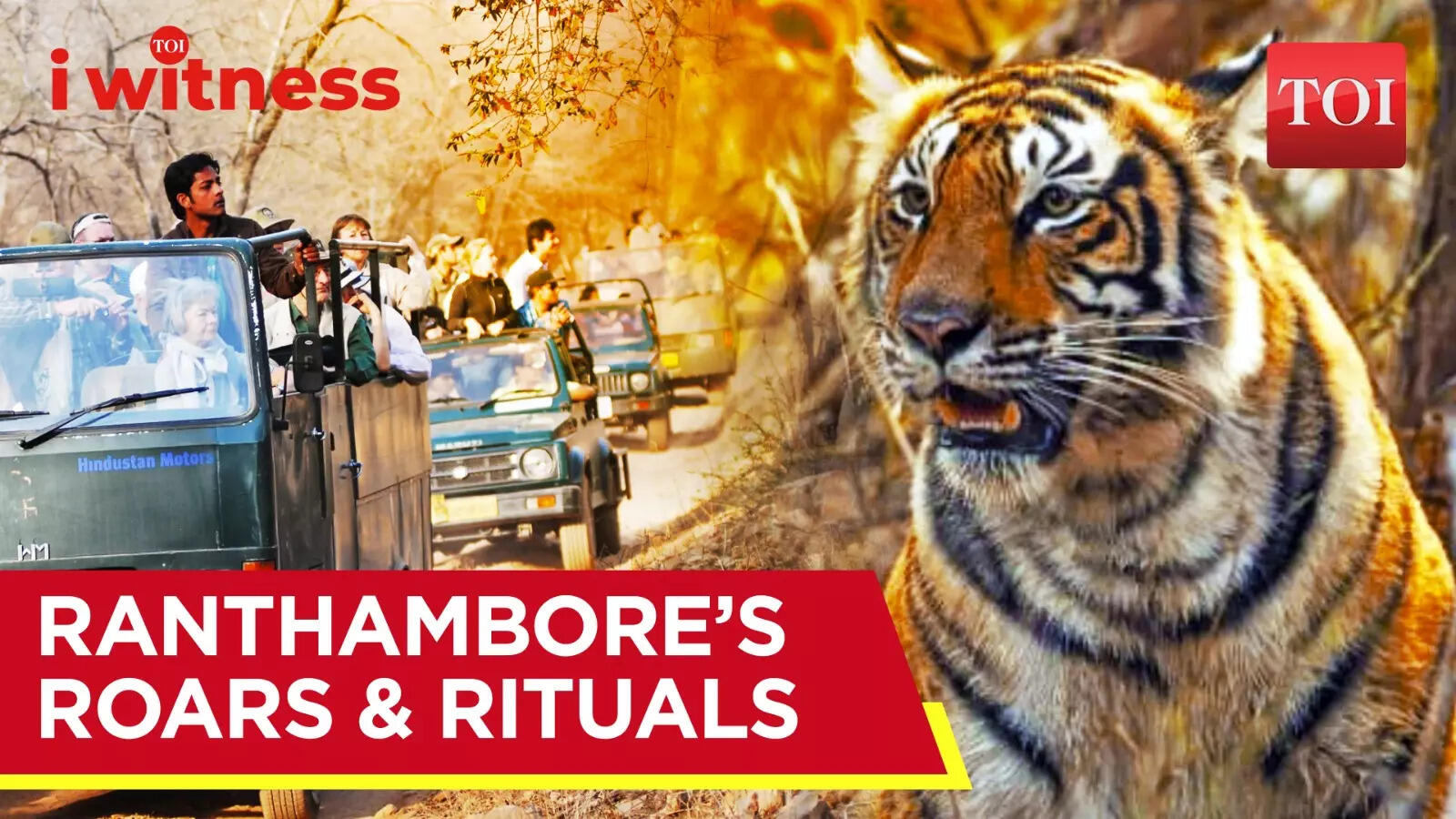 Where Tigers Get Caught Between Faith And Tourism | I Witness