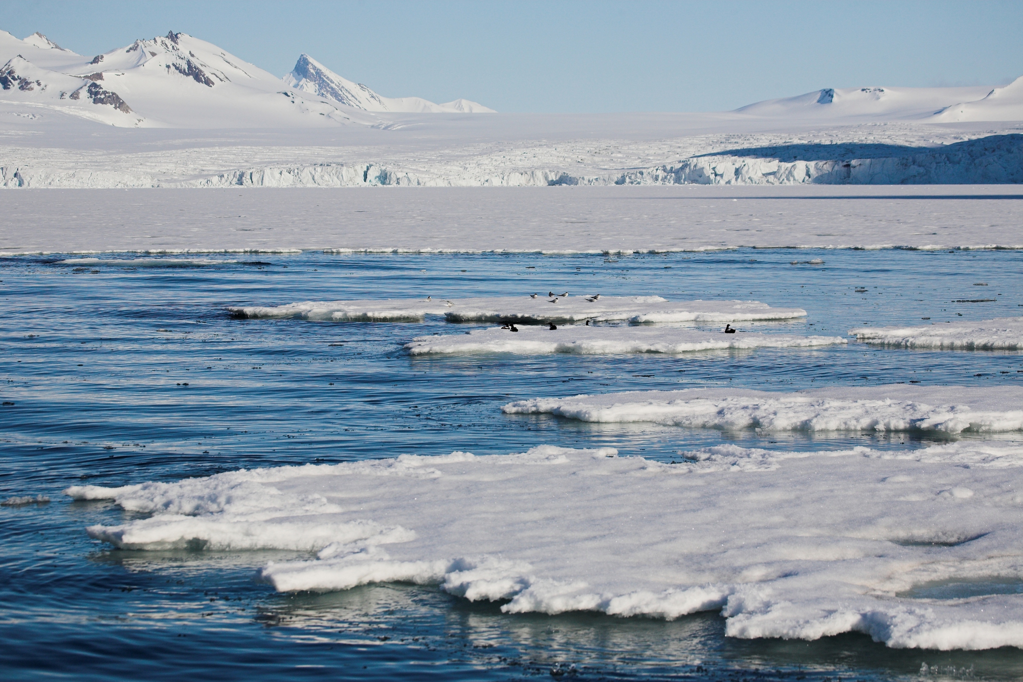 14 Myths About the Arctic That Science Has Debunked