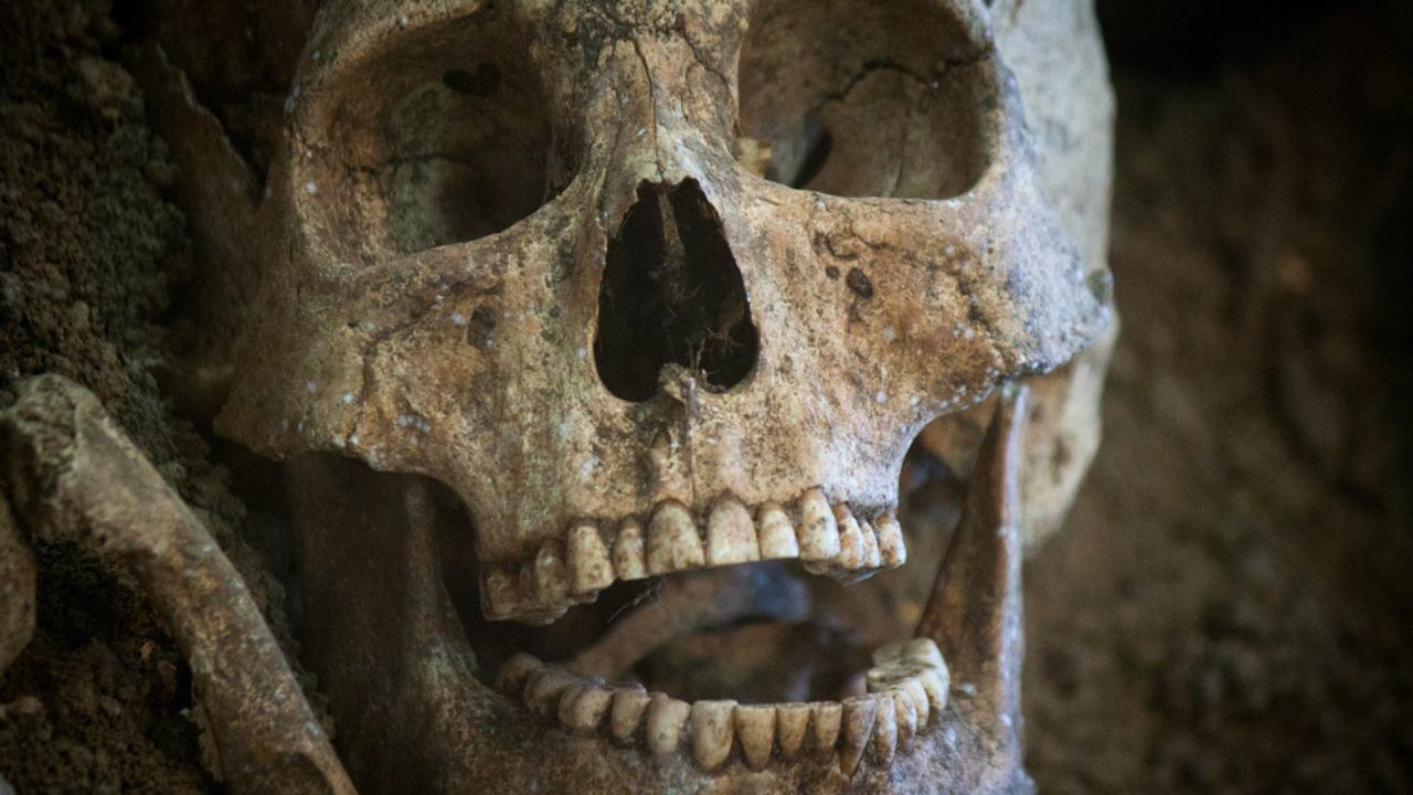 Teeth reveal surprising stories of ancient lives and labour roles