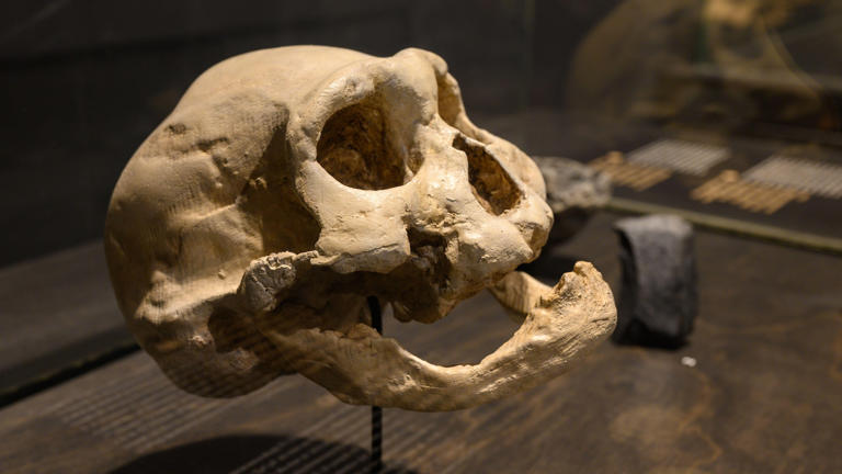 Human evolution: Facts about the past 300,000 years of Homo sapiens
