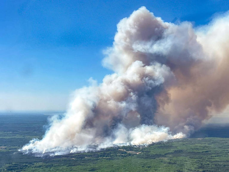 Wildfire updates: Evacuation order in County of Grande Prairie | How to ...